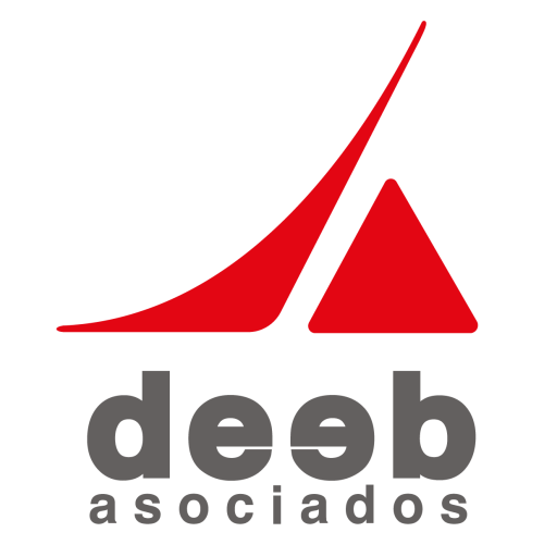 Brief avance de obra - Deeb Asociados